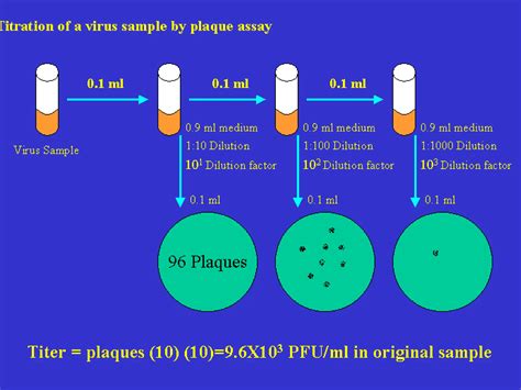 Virus Isolation Cultivation111111111 Ppt