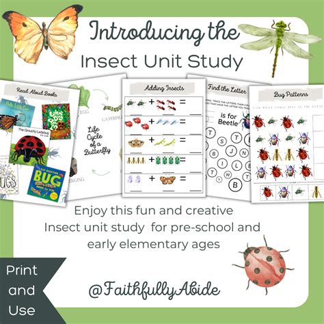 Insect Printable Study For Preschool And Kindergarten Faithfully