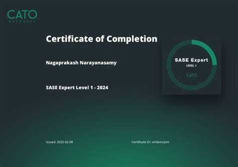 Sase Zerotrust Sdwan Catonetworks Nagaprakash Narayanasamy 15 Comments