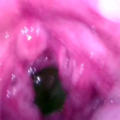 Gummy Bear Vore Thisvid Com