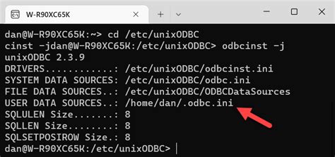 Connect To Data Lake Relational Engine Using The Odbc Driver Sap