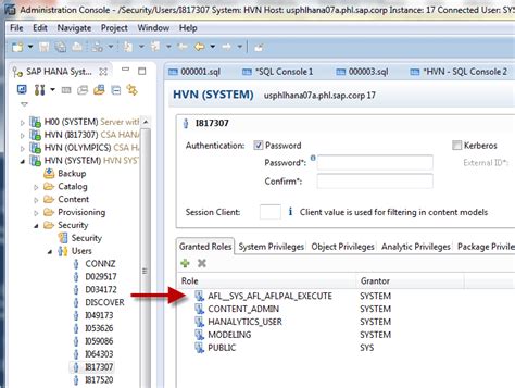 guide setting up hana pal for use with sap predic sap community