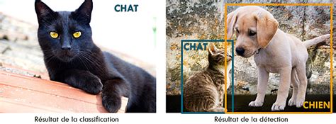 Le Deep Learning Pour Le Traitement Dimages Détection