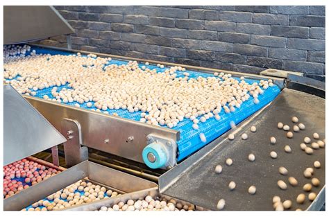 Process And Control Today 100 Scara Robot Nut Sorting Line Optimising