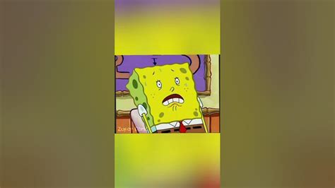 Everything Brow Up On Spongebob 😂 Ytp Spongebob Ytpspongebob Youtube