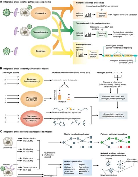 Proteomics And Integrative Omic Approaches For Understanding Host