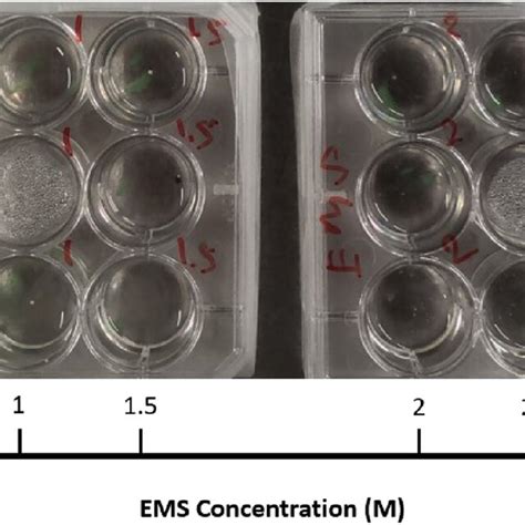 Kill Curve Showing Viability Of Cultures 21 Days After Treatment With Download Scientific