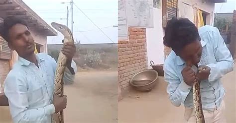 Viral Video अजगर को हाथ में पकड़कर कर रहा था खिलवाड़ सांप ने जो किया