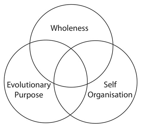 Thought Of A Teal Organisation Structure For Your Group We Have