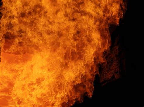 Nexusgrid Coin Decentralized Energy Grid Management And Distribution Screk