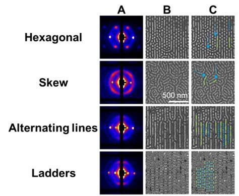 Figure 1 From Pair Variational Autoencoders For Linking And Cross Reconstruction Of