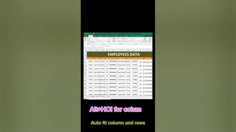 Excel Tips Auto Fit Rows And Column Excel Exceltutorial