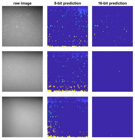 three images from the caicedo et al dataset [10] with zero dice aji