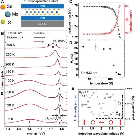 Angle‐resolved Xps And Tem Investigation Of Ml Janus Semos A