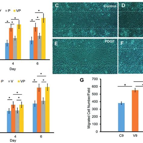 Characterization Of The Phase Separation Of Dextran And Pegda A Download Scientific Diagram
