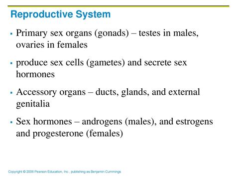 The Reproductive System Ppt Download