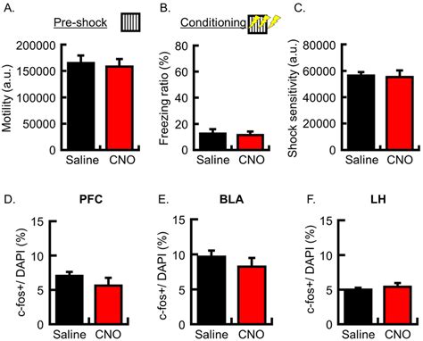 Analysis Of C Fos Expressing Neurons Following Conditioning In Naïve