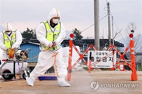 Mkor 🇰🇷 Өмнөд Солонгост Шүлхий өвчний 5 дахь тохиолдол бүртгэгджээ Өмнөд Солонгосын Хөдөө аж