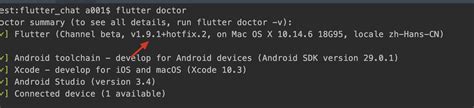 flutter 生命周期的一些异常 lifecyle problem Issue flutter flutter GitHub