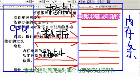 深入理解指针：概念、运算与动态内存管理 Csdn博客