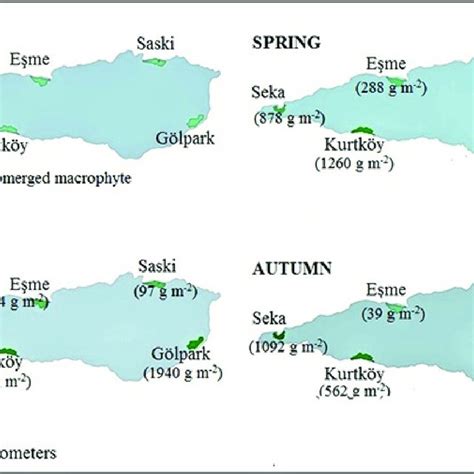 Temporal Variations In Submerged Macrophyte Species Richness Biomass