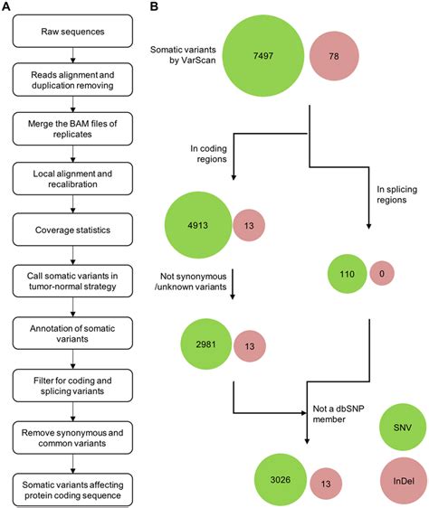 workflow and filtering strategy for identifying somatic variants