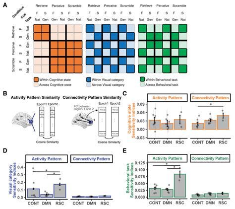 pattern similarity analyses using both background fc patterns and