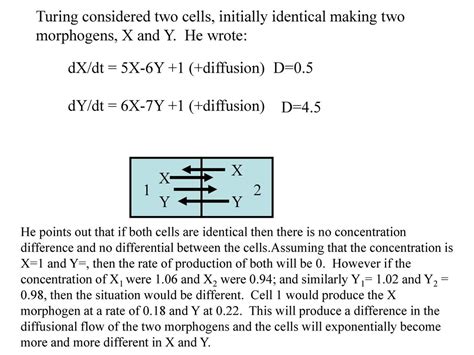 Spatial Organization In Cells And Embryos Ppt Download