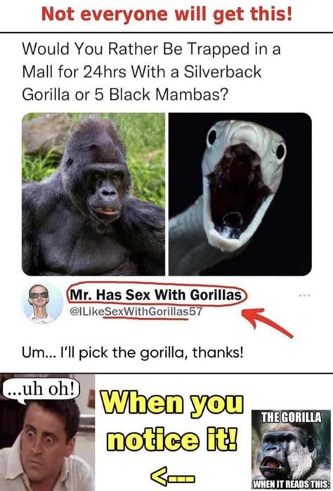 Sex Gorilla Man😔 Rokbuddyretard