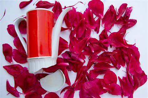 붉은 모란의 꽃잎에 폭행 바닥이있는 빨간색과 흰색 도자기 커피 포트 꽃잎은 흰색 배경에 놓여 있습니다 0명에 대한 스톡 사진 및 기타 이미지 Istock