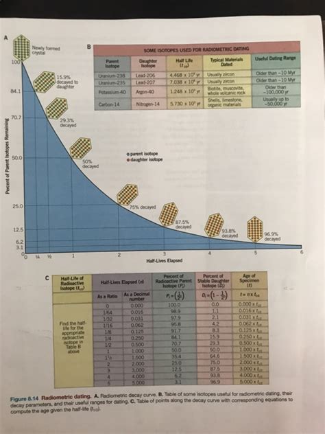 Solved Activity 8 4 Numerical Dating Of Rocks And Fossils