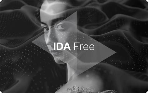 Ida Free Idaproida Freeida下载ida官网ida代理hex Rays Ida Pro下载