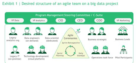 Agile Teaming For Big Data Observations From The Field