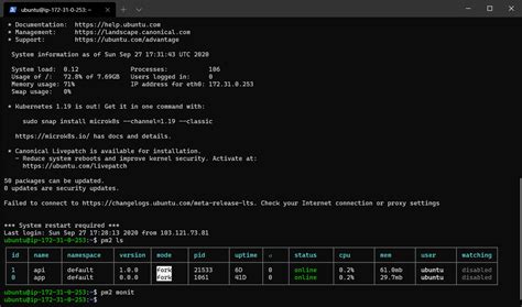 deploy frontend and backend api server using nginx and pm2 vipin yadav