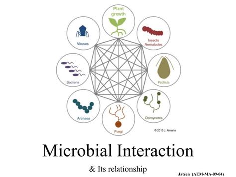 Microbial Interaction And Its Relationship Pdf
