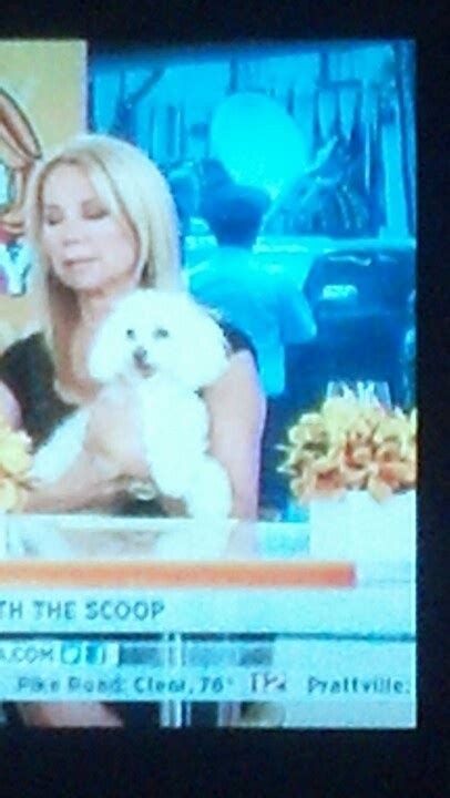 Kathie Lees Bichon Frise As If I Didnt Love Kathie Lee And Hoda