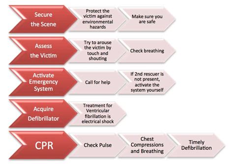 The Ultimate Guide To Passing The Bls Exam Tips Tricks And Study Strategies