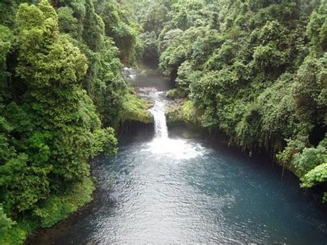 Fileureca Bioko Island Equatorial Guinea Wikimedia Commons