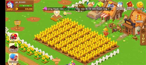 Nông Trại Việt Gold Farm