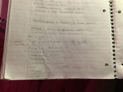 Genes Flashcards Quizlet