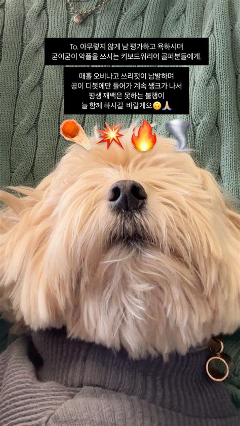 자 있쟈나 스친들앙ㅎ 악플 다는 사람들의 심리가 궁금한데 이유 적어줘봐바 내가 골프선수인데 방송에서 내가 못생긴게 덩치가 큰게 거리가 많이 나가는게 못치는게 악플인