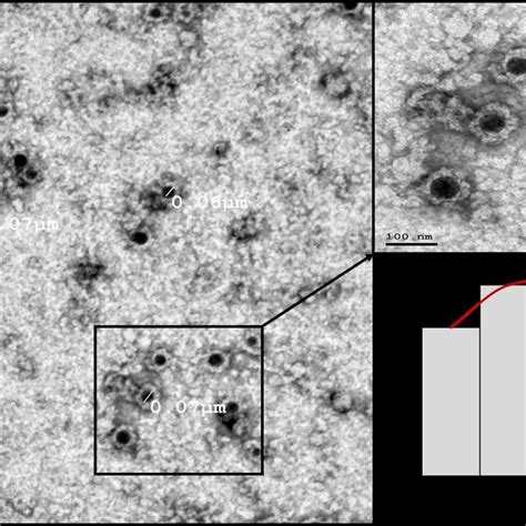 Hrtem Image And Particle Diameter Nm Distribution Histogram Of The