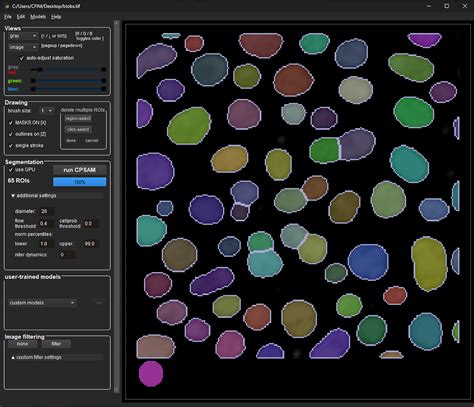 cellpose [gui] installation issues and potential solution usage and issues image sc forum