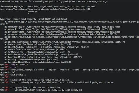 Workbox Webpack Plugin Not Compatible With Webpack Issue GoogleChrome Workbox