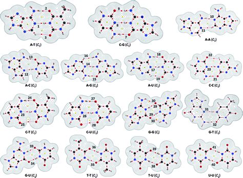 Molecular Graphs For Nucleobase Pairs Nunu′ With The Contour Plots