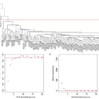 Sample clustering and β decision A Clustering dendrogram Clustering Download Scientific