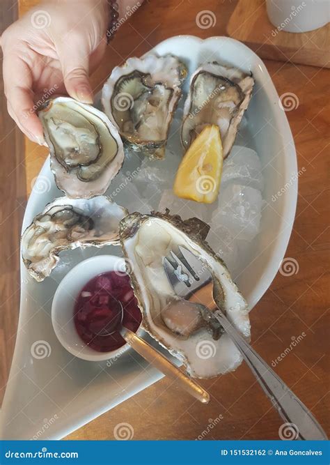 Bivalve Molluscs Stock Photo Image Of Oyster Molluscs