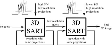 Iterative 3d Sart Reconstruction The First 3d Sart Reconstruction Uses Download Scientific