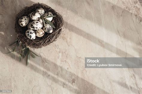 그림자와 돌 배경에 새 둥지에 메추라기 계란 행복한 부활절 소박한 스타일 공간을 복사합니다 플랫 레이 상단 보기 0명에 대한 스톡 사진 및 기타 이미지 Istock