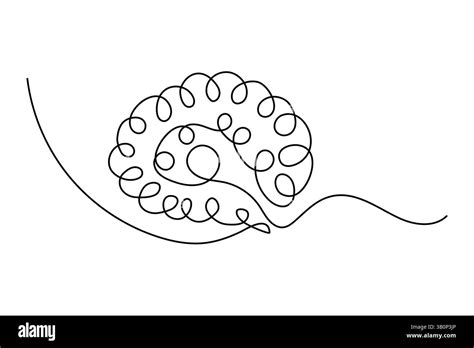 Human Brain Continuous One Line Drawing Of Minimalist Outline Vector Icon Stock Vector Image